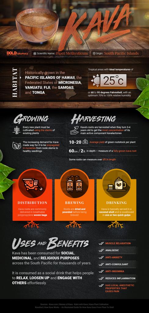 The Uses And Benefits Of Kava Infographic | Bold Business