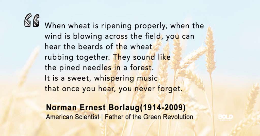 Norman Borlaug & the Fight Against World Hunger—Bold Leader Spotlight