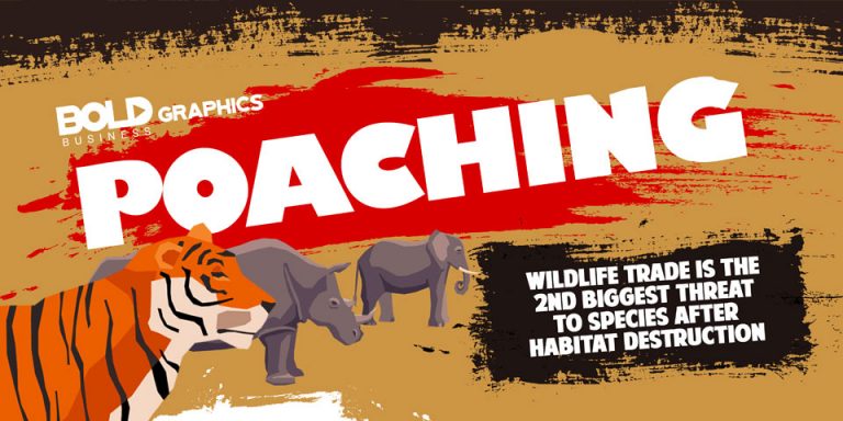 Fighting Poaching with Convincing Fakes: A Step to Mend Our Ailing Planet
