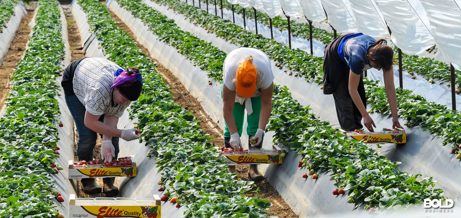Underground Economy Series: Migrant Workers in the U.S.