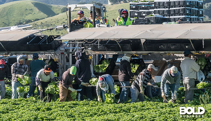 Underground Economy Series: Migrant Workers in the U.S.